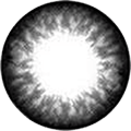 Crown Black Color Contact Lens – Candylens
